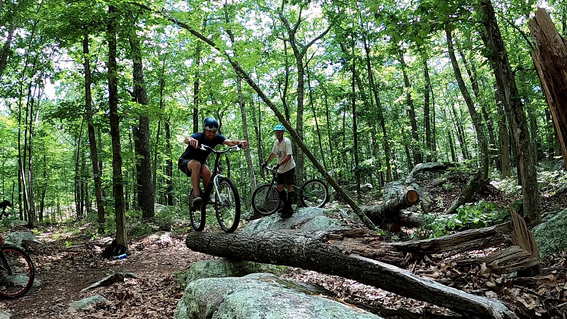 Trials on Trees - This Is Bike Trials!